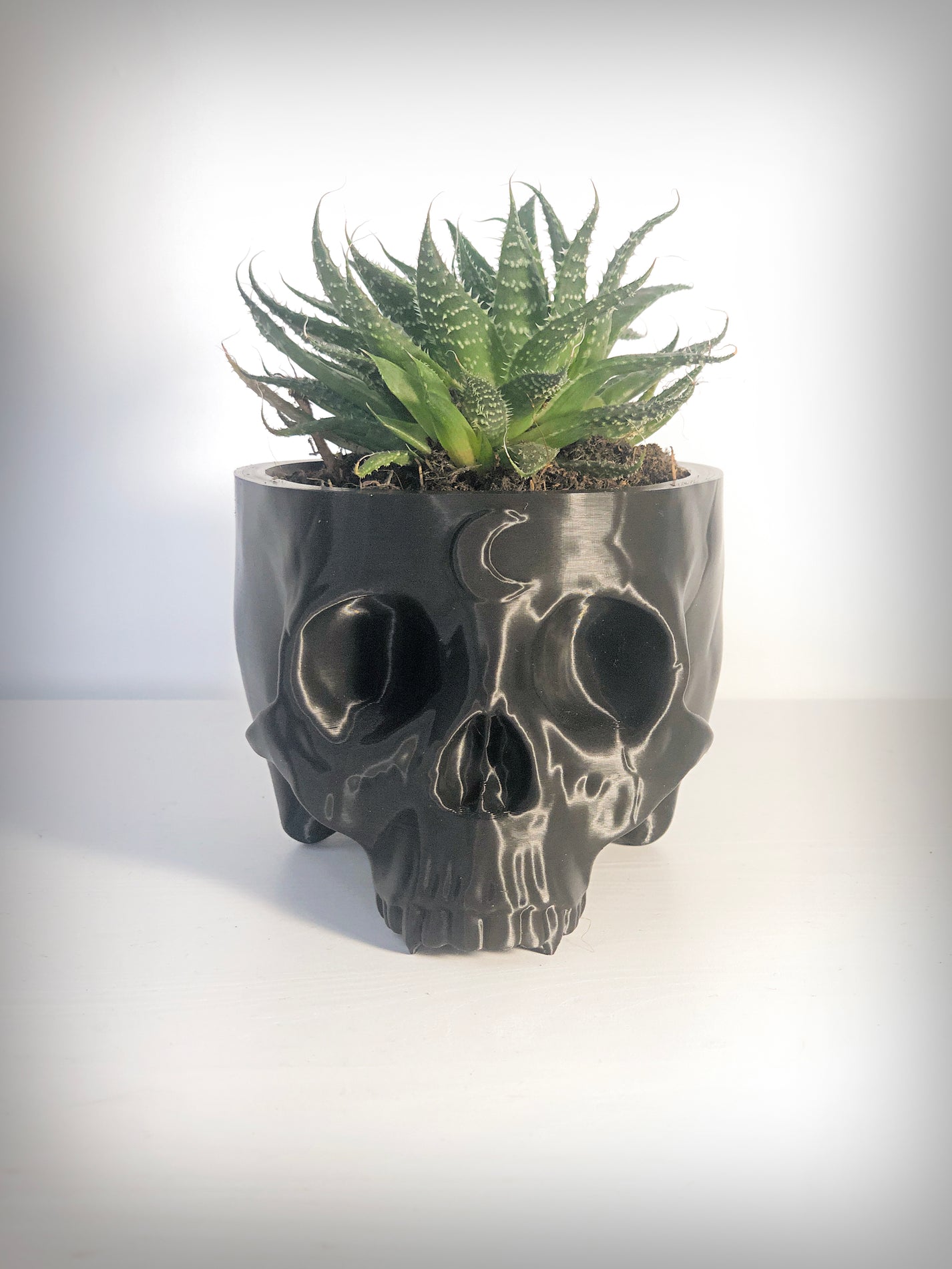 Large Skull Planter With Moon Detail – Mayhem Made