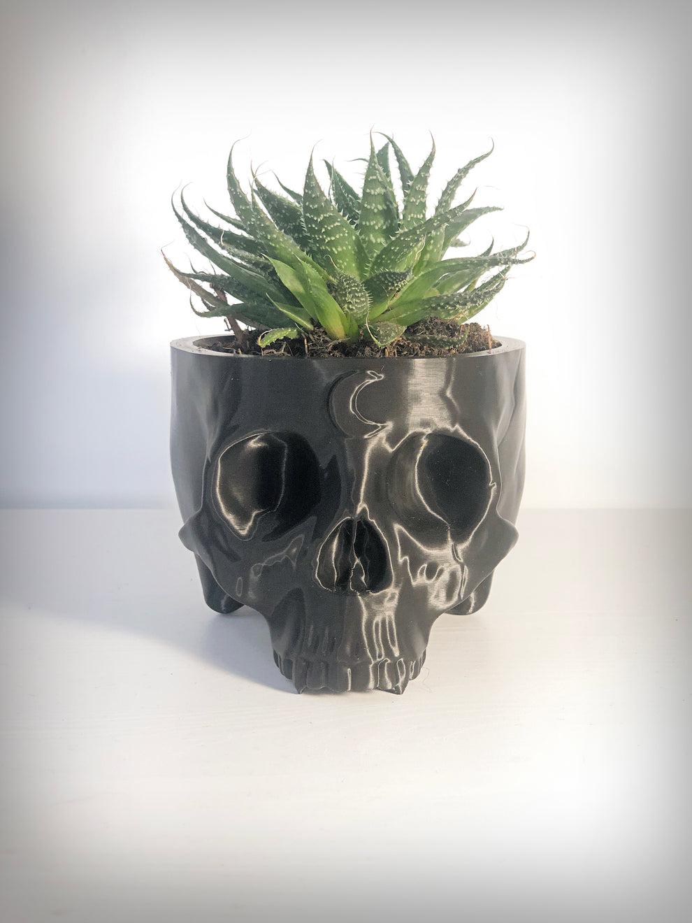 Large Skull Planter With Moon Detail – Mayhem Made