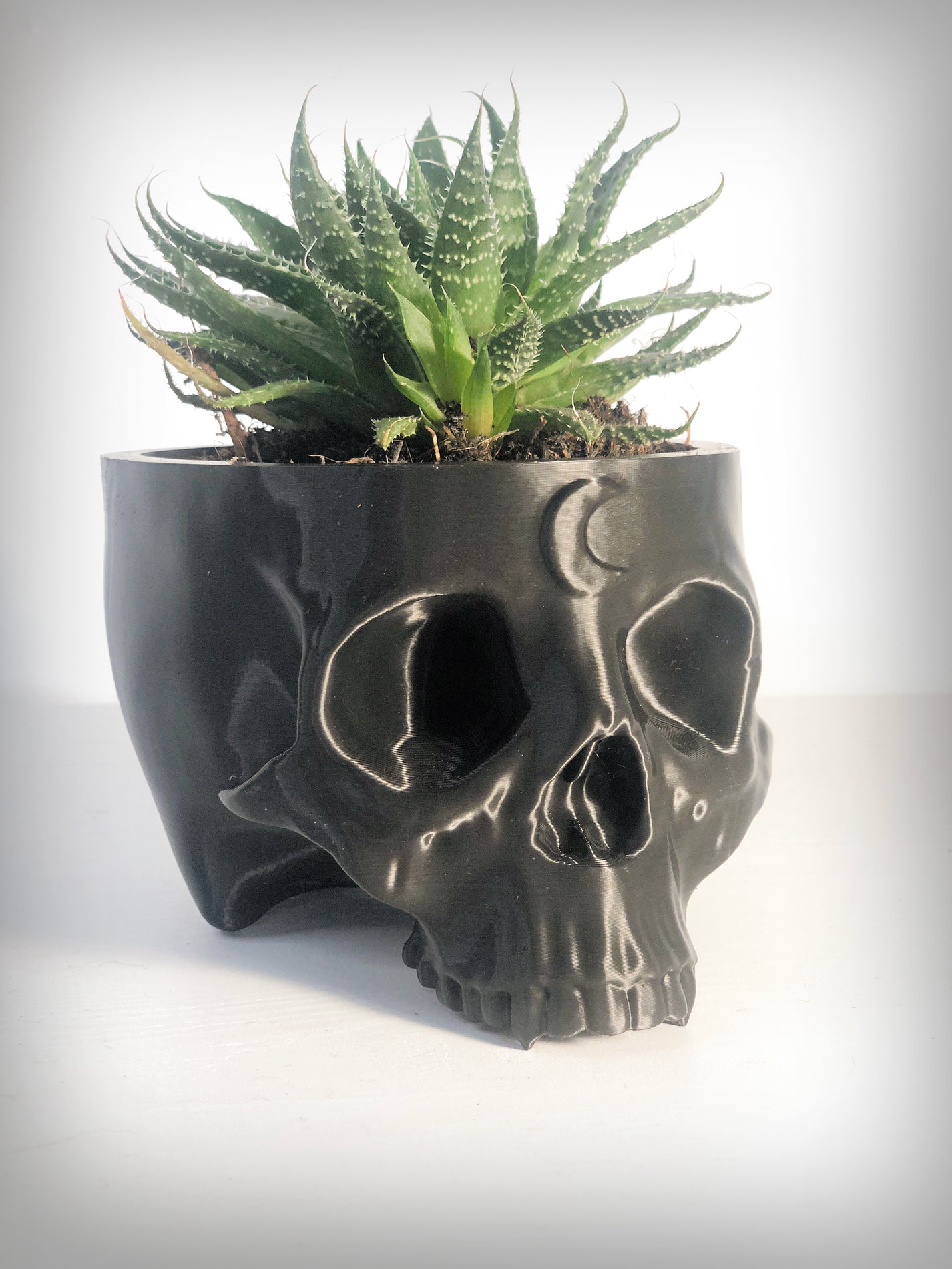 Large Skull Planter With Moon Detail – Mayhem Made